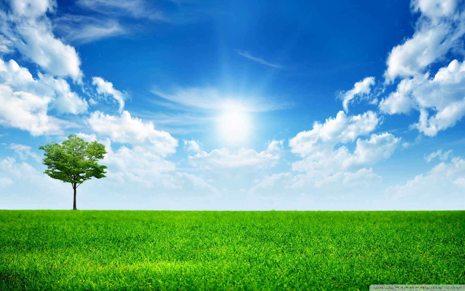 green_nature-wallpaper-1920x1200 - Indonesia Environment & Energy Center