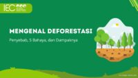 Mengenal Deforestasi: Penyebab, 5 Bahaya, dan Dampaknya - Indonesia Environment & Energy Center